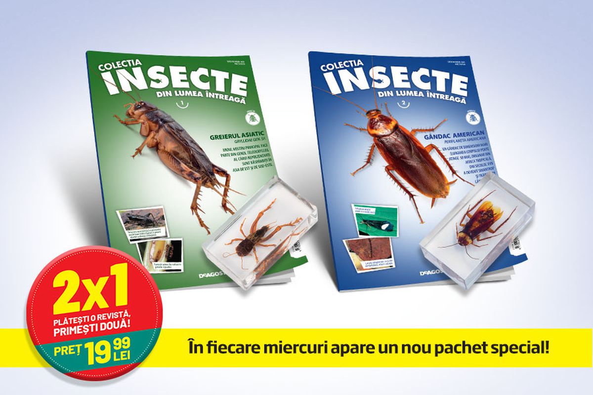 O colecție inedită pentru copiii curioși și isteți: Insecte din lumea ...