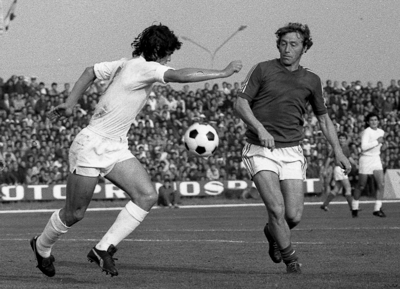 EXCLUSIV // VIDEO Florin Călinescu, poveste cu Nicolae Dobrin: „Te ...