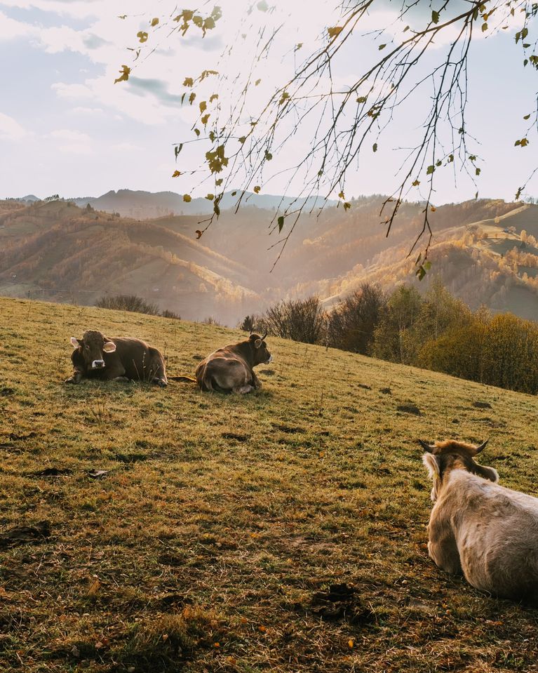 Matca Hotel, locul din România inclus pe lista Time Magazine - Imaginea 5