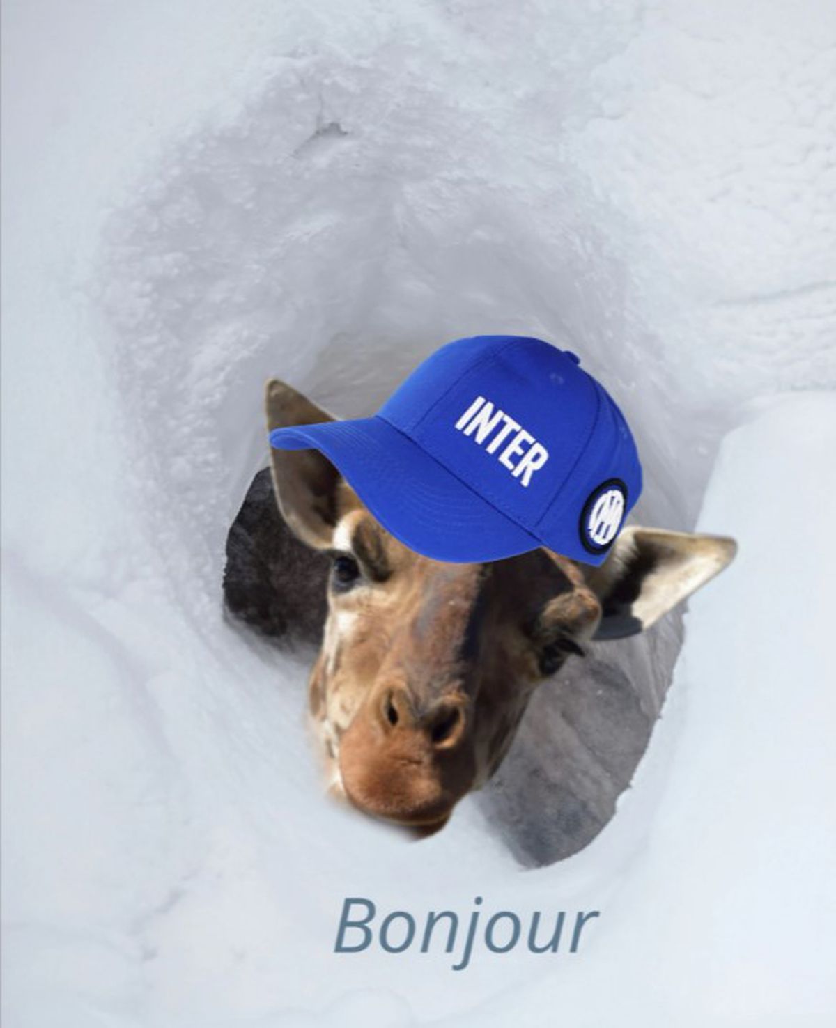 Cele mai tari meme-uri după PSG - Inter, finala Ligii Campionilor ...